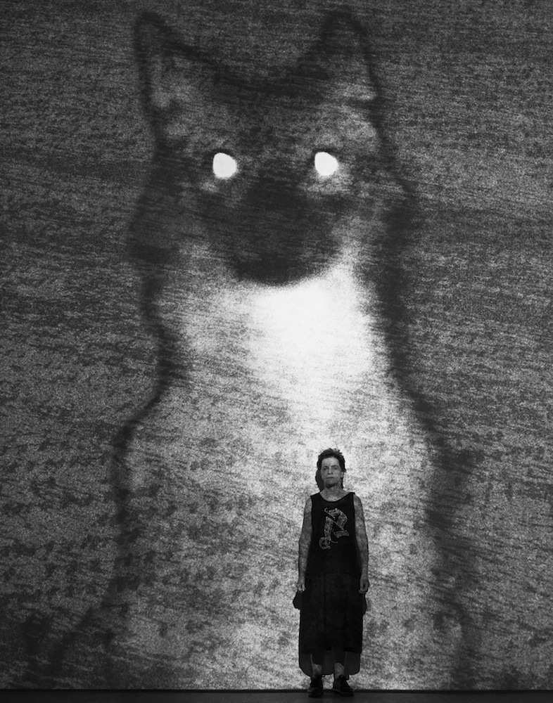 Michal Rovner, Into the Night - Interview Magazine