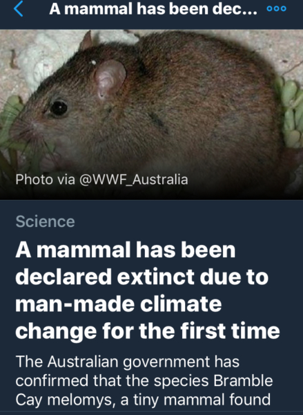 Abdu Ali, a Musician with Restless Charisma, Shares Their Camera Roll