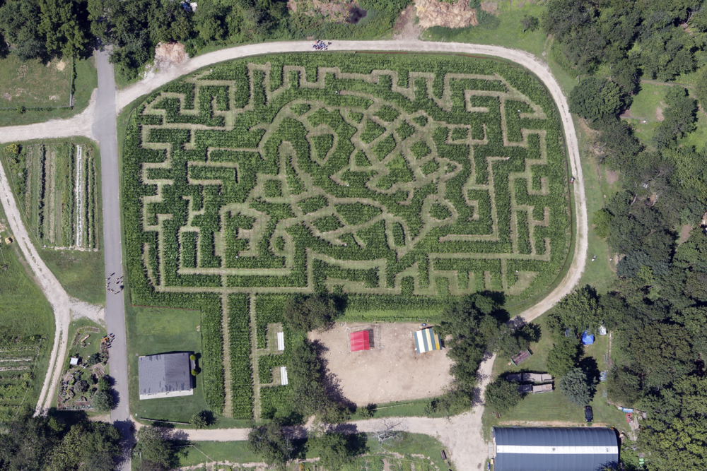 Cornfield Maze Employees Tell Us What Their Plan is For an Alien Invasion