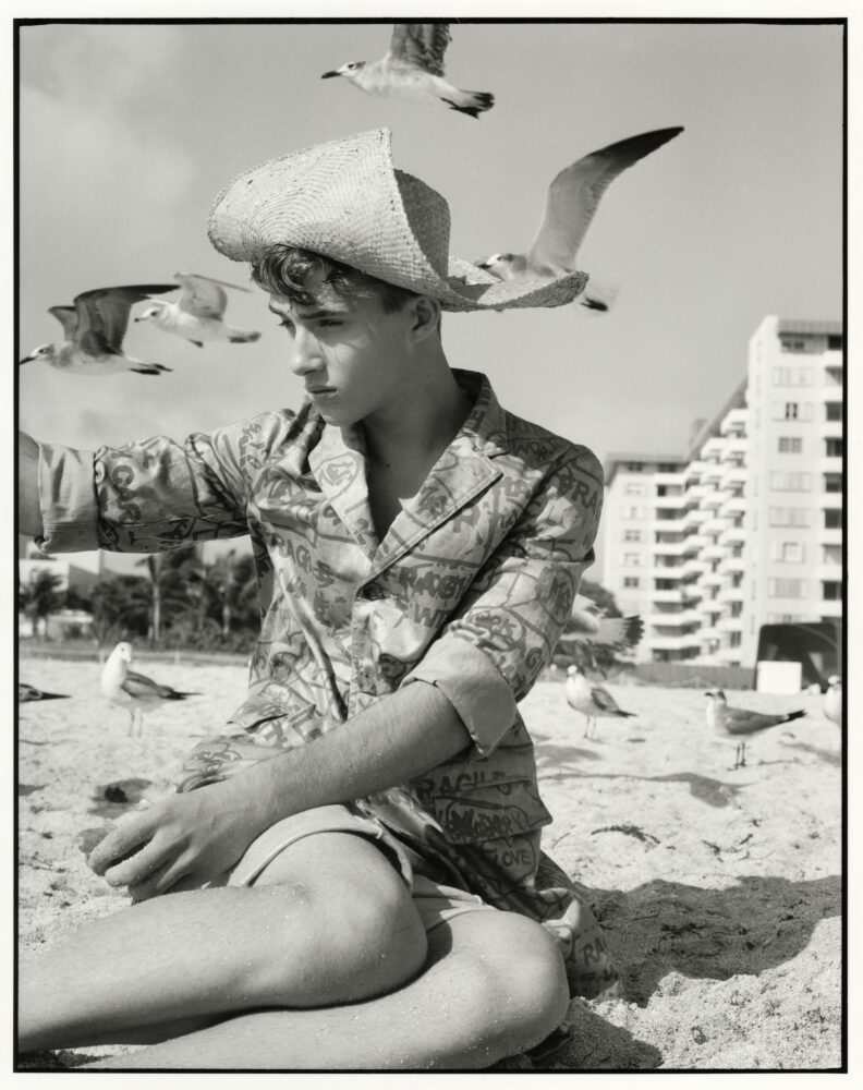 Inside a New Monograph Celebrating the Legacy of Photographer David ...